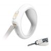 Creative Leash with Bluetooth Connectivity and LED Lights – Glamorous ...